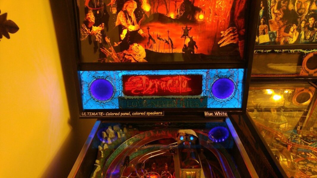 Bram Stokers Dracula BSD - Lighted Pinball LED Speaker Panel - ULTIMATE ...